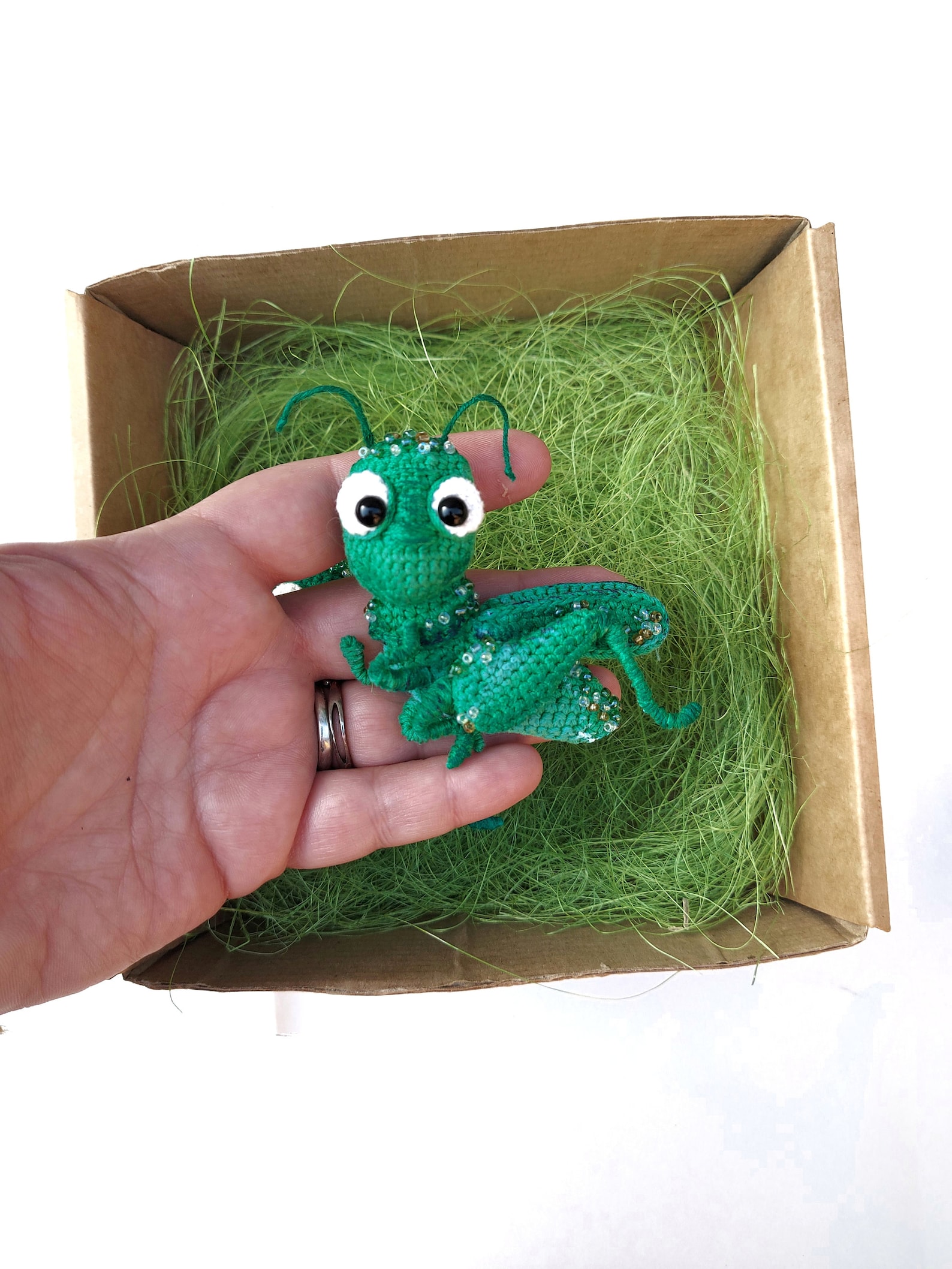 Amigurumi Grasshopper / Pattern Crochet Grasshopper / Crochet Pattern ...