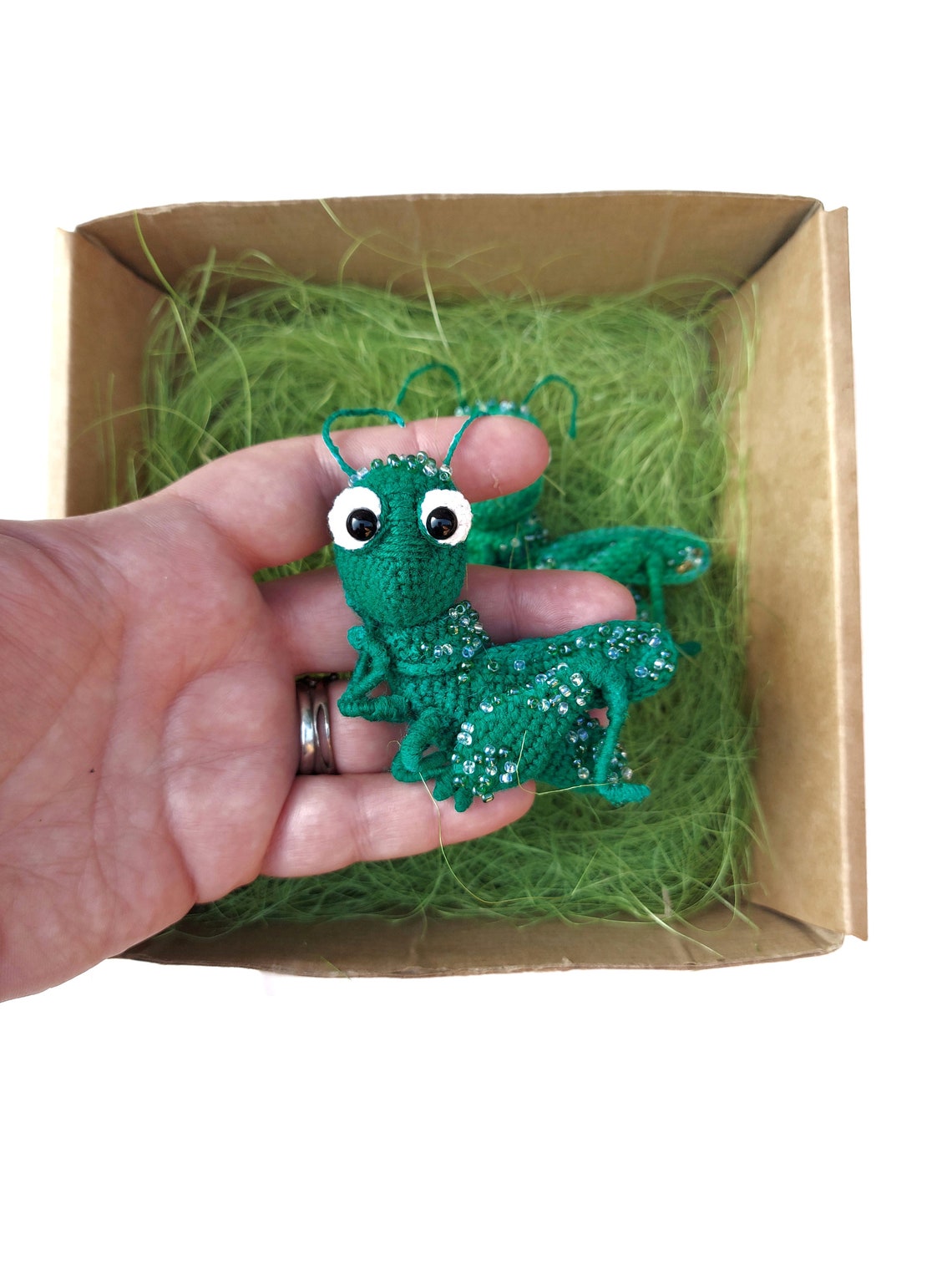 Amigurumi Grasshopper / Pattern Crochet Grasshopper / Crochet Pattern ...