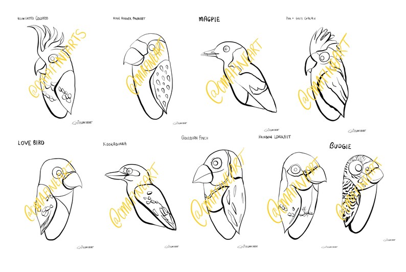 Aussie Bird Colouring Pages - Etsy