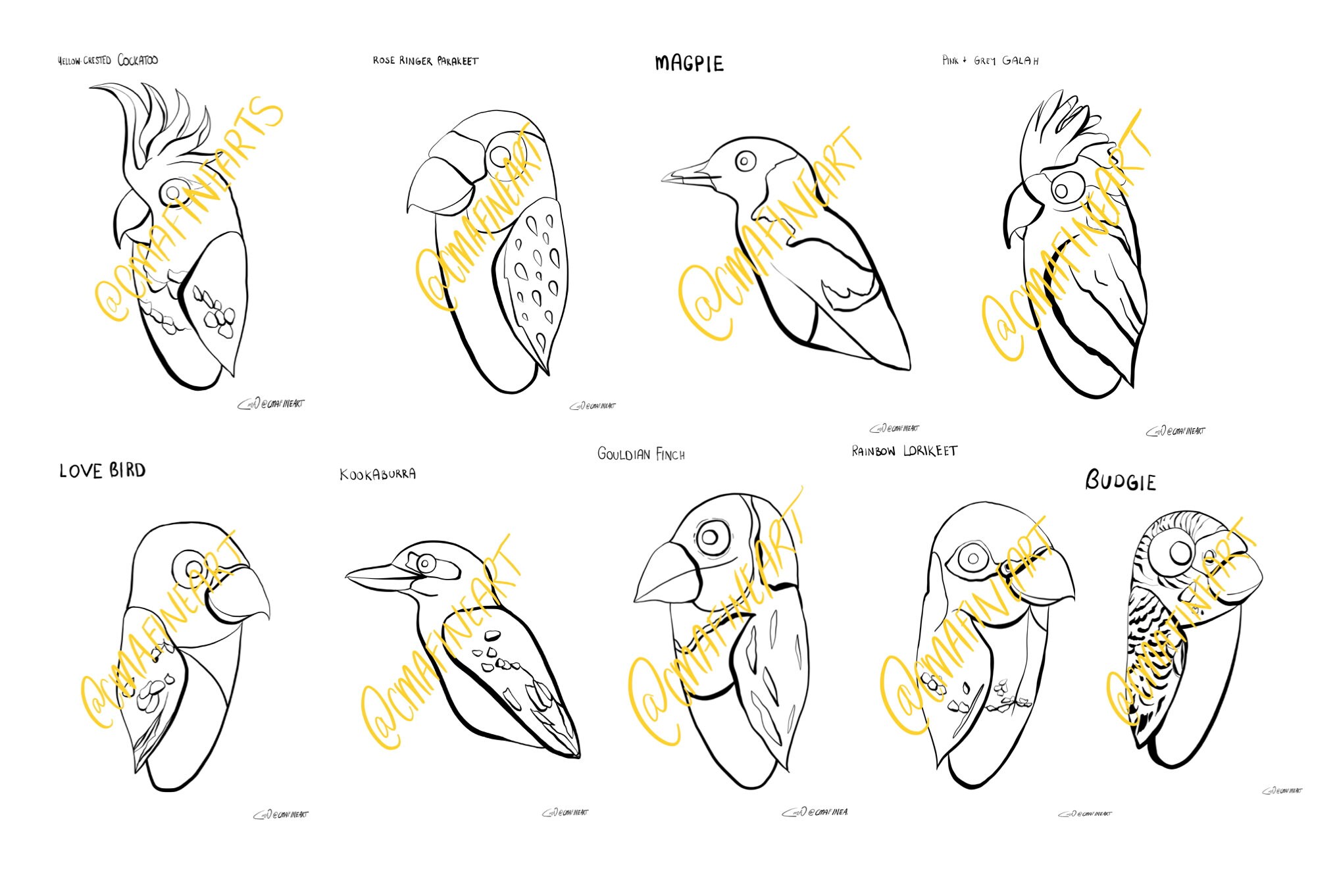 Aussie Bird Colouring Pages - Etsy