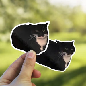 Team Fortress 2, Mann Vs Machine Robot Tank 3D Model File - Etsy Canada