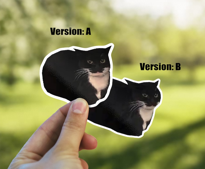 Maxwell Cat Sticker Spinning Cat Meme Maxwell the Low Poly - Etsy