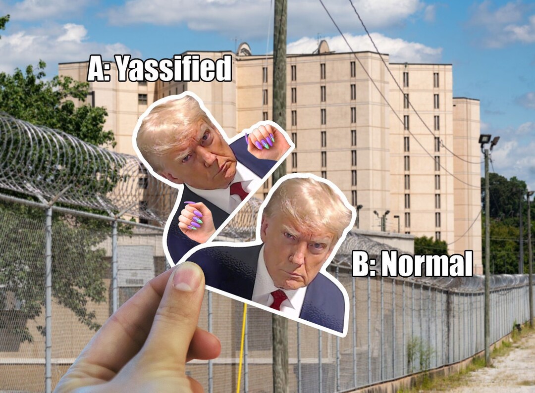 Trump Mugshot Sticker, Yassified Trump, Funny Meme Decal, Political ...