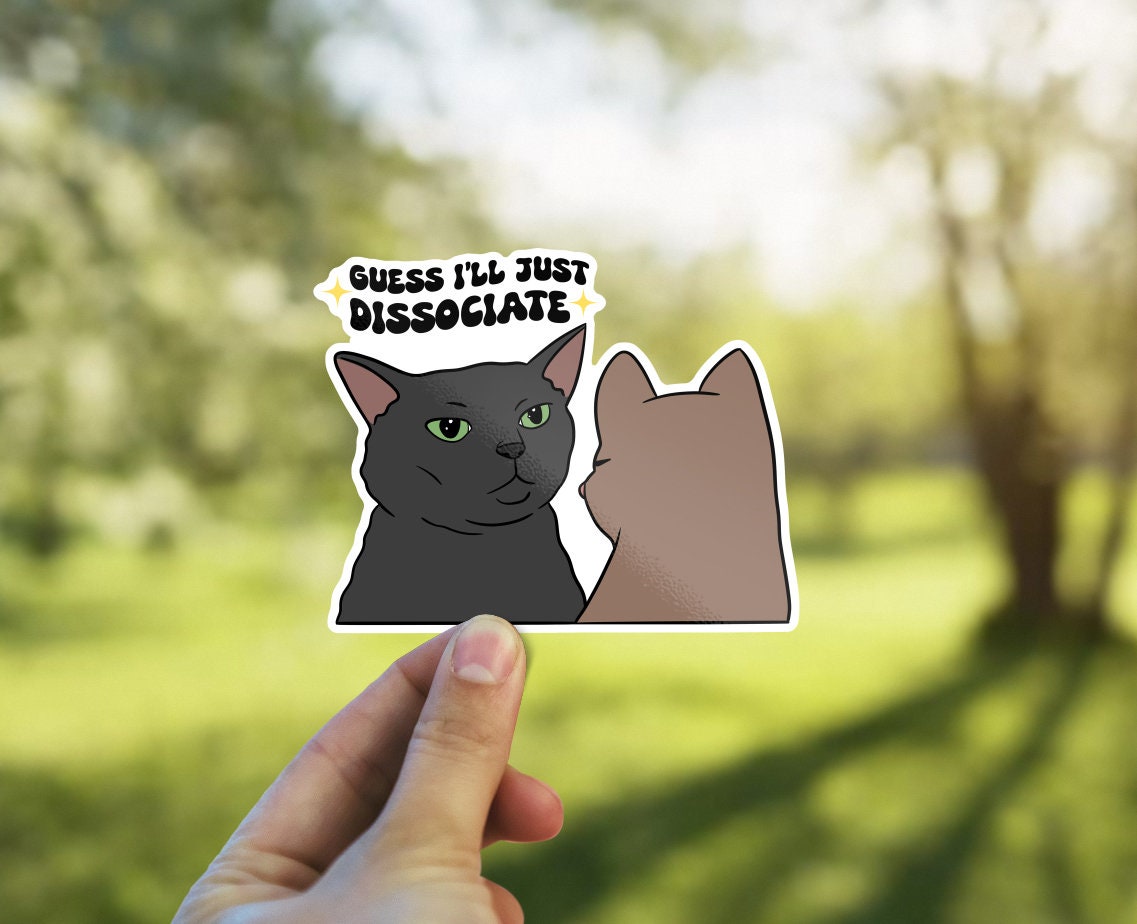 Disappointed Cat Meme