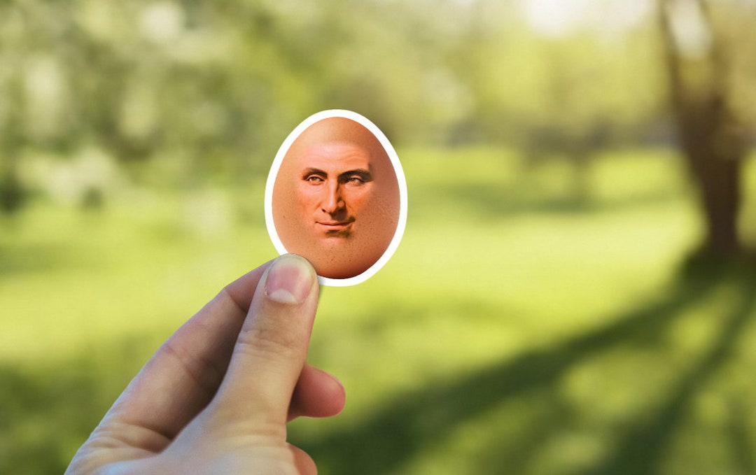 Raphael Sticker, Raphaegg Decal, Funny Raphael BG3 Sticker - Etsy