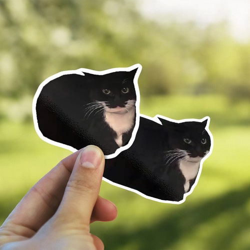 Maxwell the Low Poly Cat Meme Vinyl Sticker - Etsy Canada