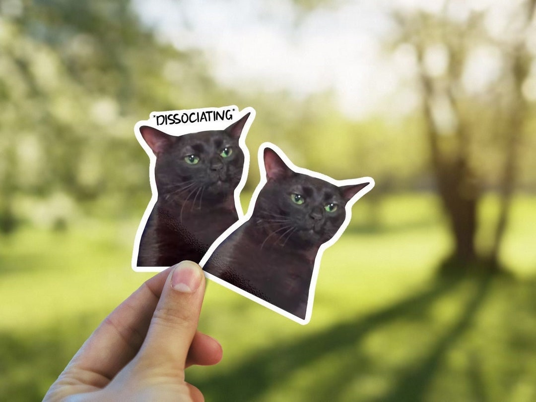 Dissociating Sticker, Zoning Out Black Cat Meme, Dissociative Sticker ...