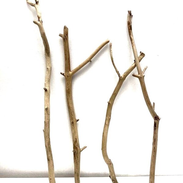 Decorative Sticks - Etsy