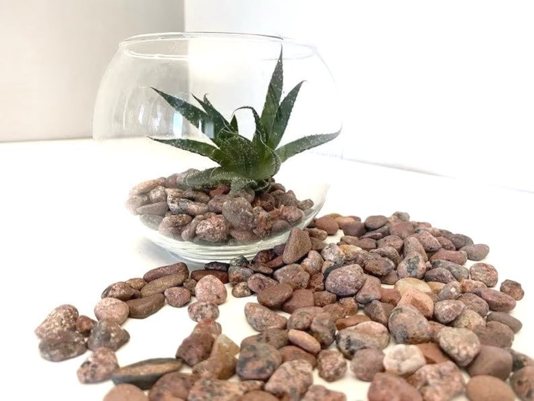 300 Small Beach Stones, Aquarium Decor, Unique Beach Stones, Stone Home ...