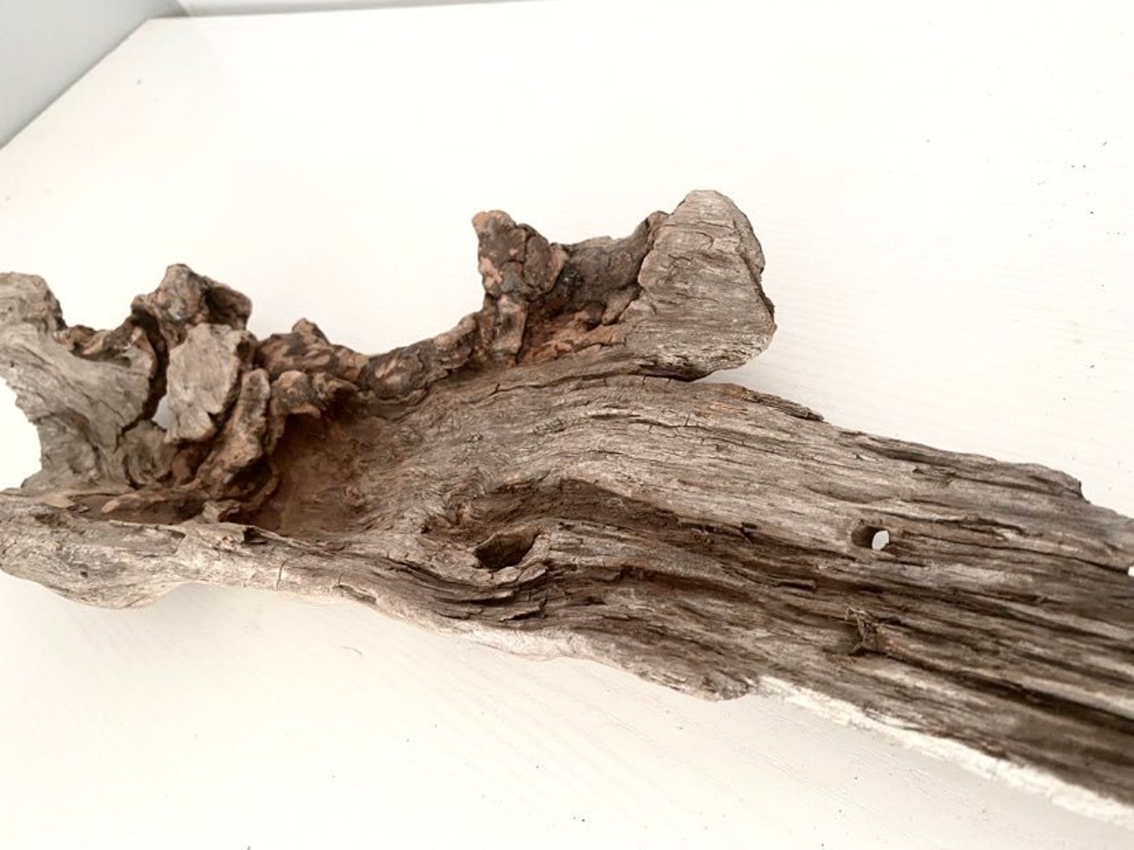 Unique Decorative Pine Bark, Rustic Wedding Decor, Coastal Style ...