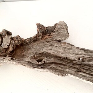 Unique Decorative Pine Bark, Rustic Wedding Decor, Coastal Style ...