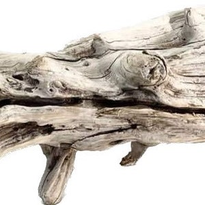 Decorative Driftwood Rustic Raw Natural Decor Craft - Etsy