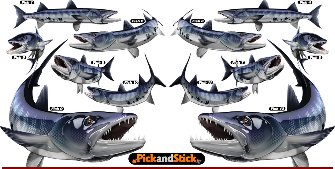 Barracuda Fish Decal - Etsy