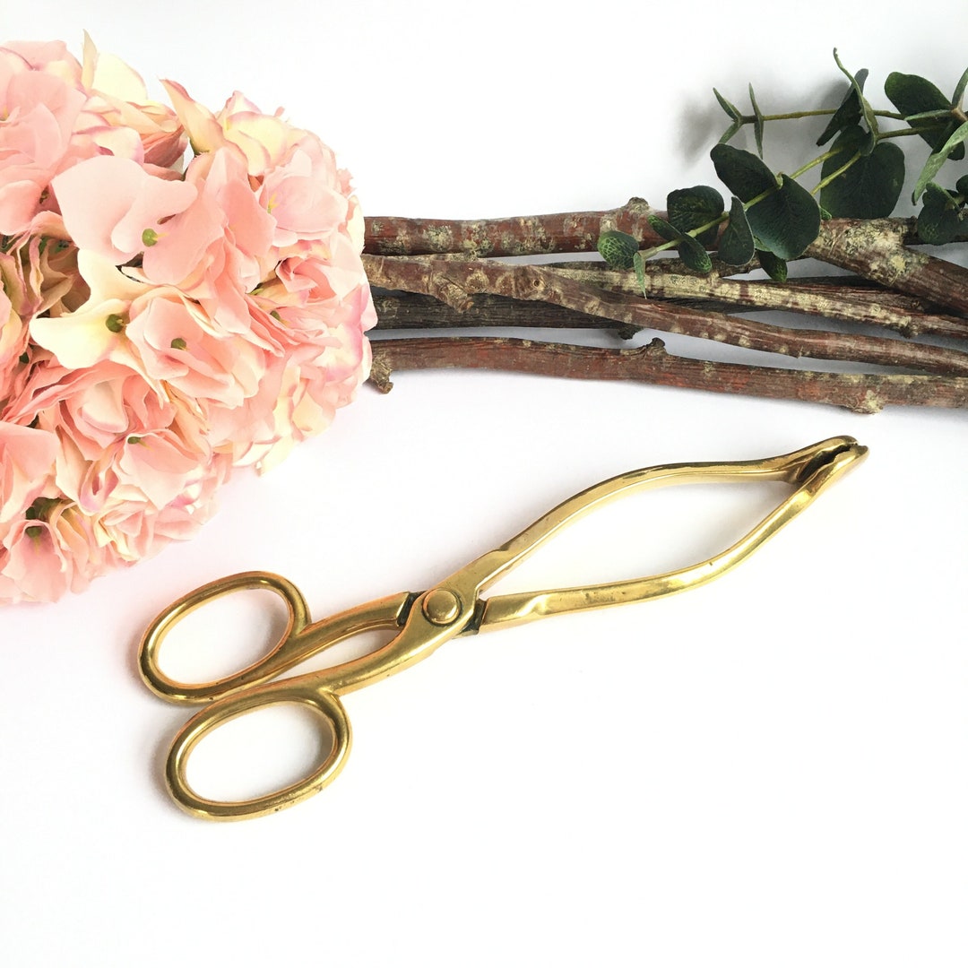 Antique Brass Coal Tongs Fire Tongs Scissors Pliers Decorative Fireside ...