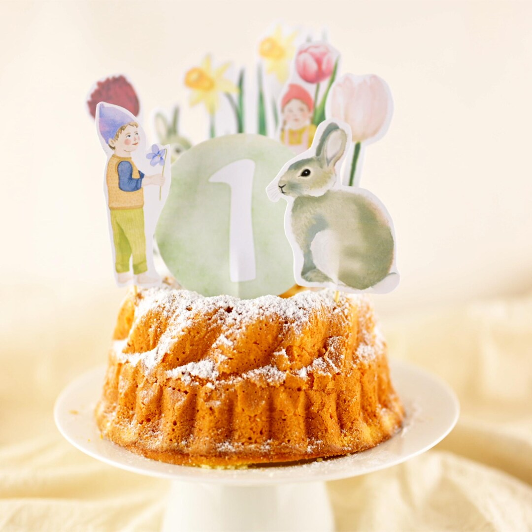 DIY Cake Topper Spring, Cake Topper First Birthday, Gnome Cake Topper ...