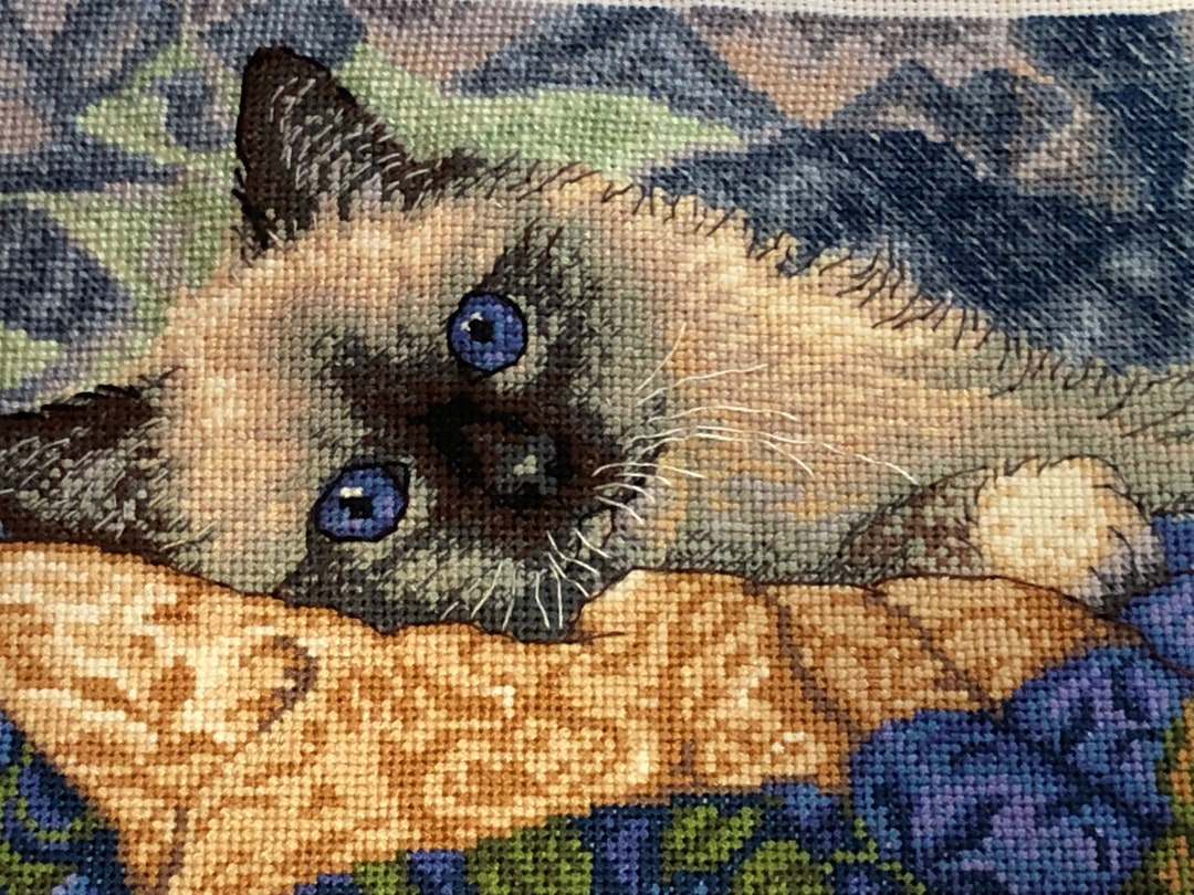 Ragdoll Kitten Completed Counted Cross Stitch Picture - Etsy