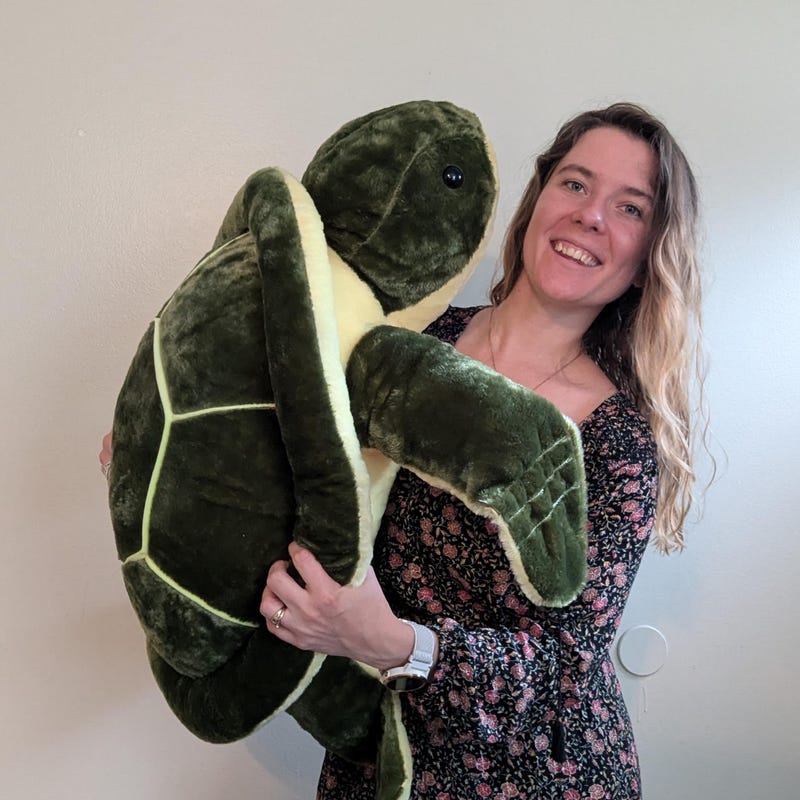 Stuffed Turtle - Etsy