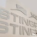 Stingray Boat Emblems Chrome Domed Decals Stickers (set) - Etsy