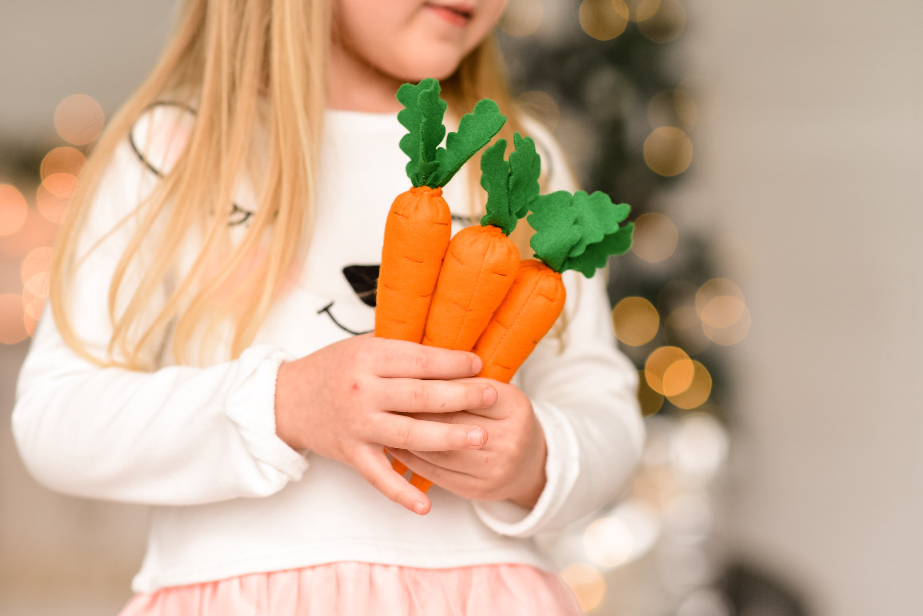 Vegetable Garden Play Set for Pretend Play, Felt Food Set for Kitchen ...