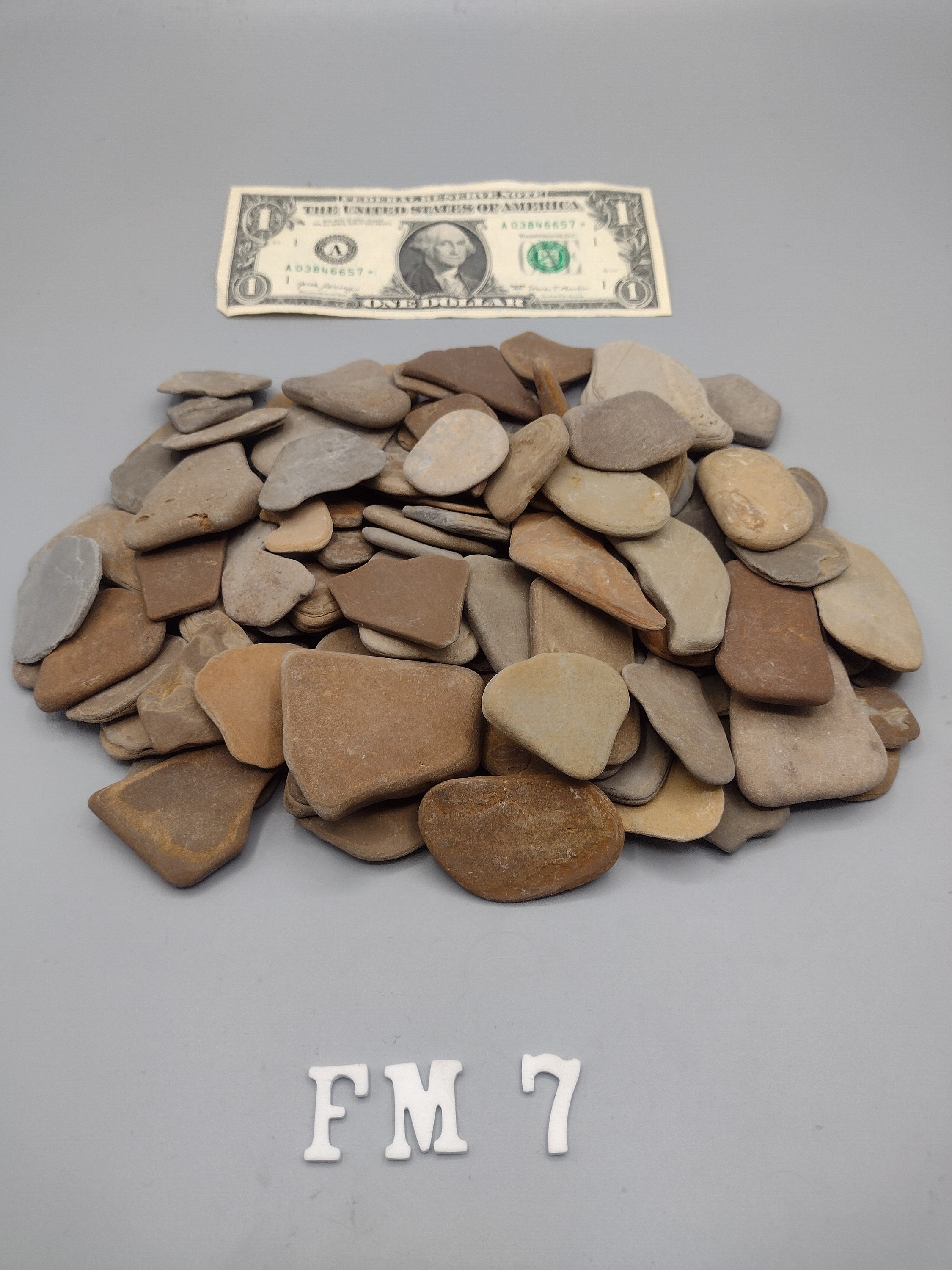 104 Medium and Small Flat Rocks From the Shores of Lake - Etsy