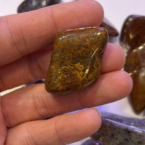 Mexican Moss Agate Polished Stones, Moss Agate Tumbles, Pretty Rocks - Etsy