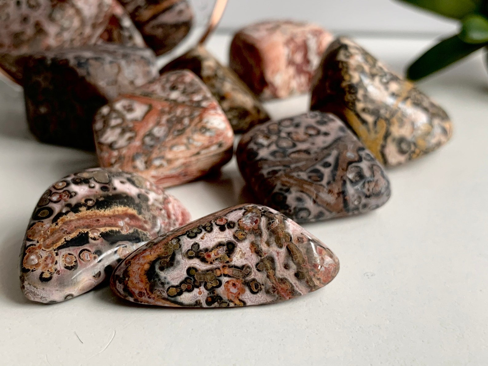 Leopard Skin Jasper Tumbles Polished Leopard Skin Jasper - Etsy