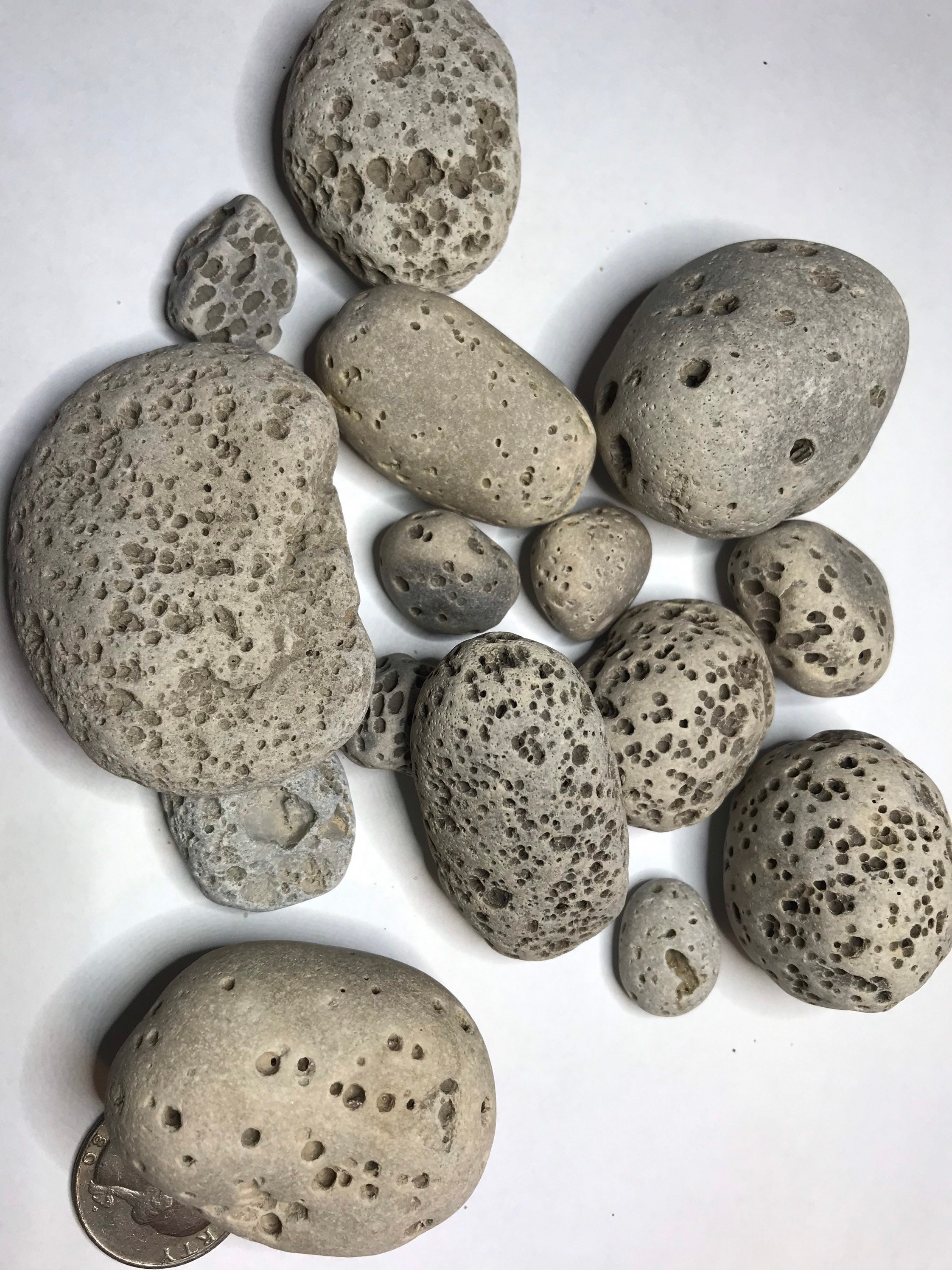 Lake Michigan Vesicular Rocks, Porous Display Stones (1lb) - Etsy