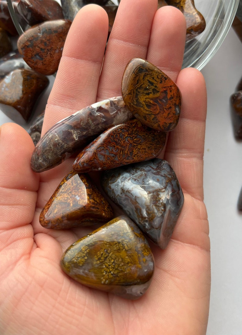 Mexican Moss Agate Polished Stones Moss Agate Tumbles Pretty - Etsy