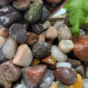Polished Great Lakes Stones (1lb), Assorted Polished Rocks, Lake ...