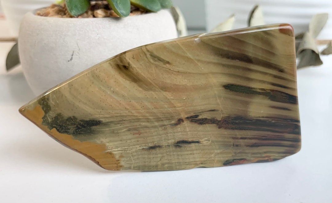 Cut and Polished Rock Slab, Interesting Stone Slab - Etsy