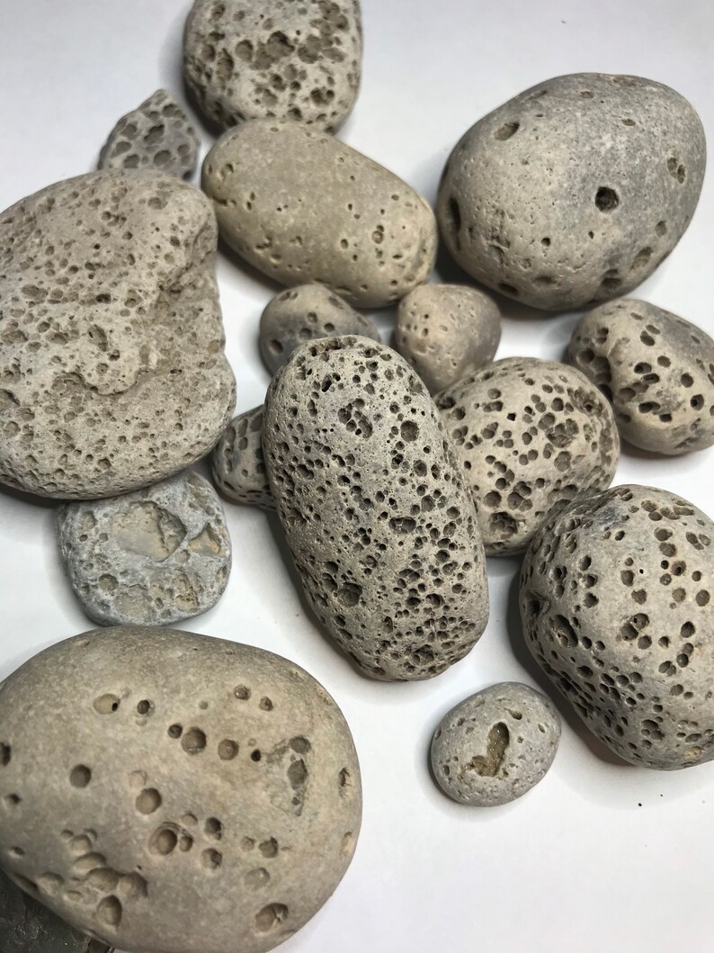 Vesicular Rocks (1lb), Rocks With Holes, Lake Michigan Rocks - Etsy