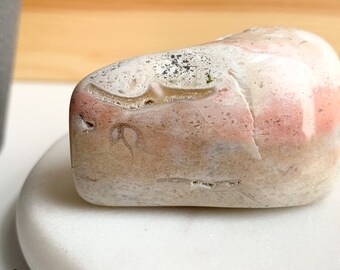 Great Lakes Fossil - Etsy