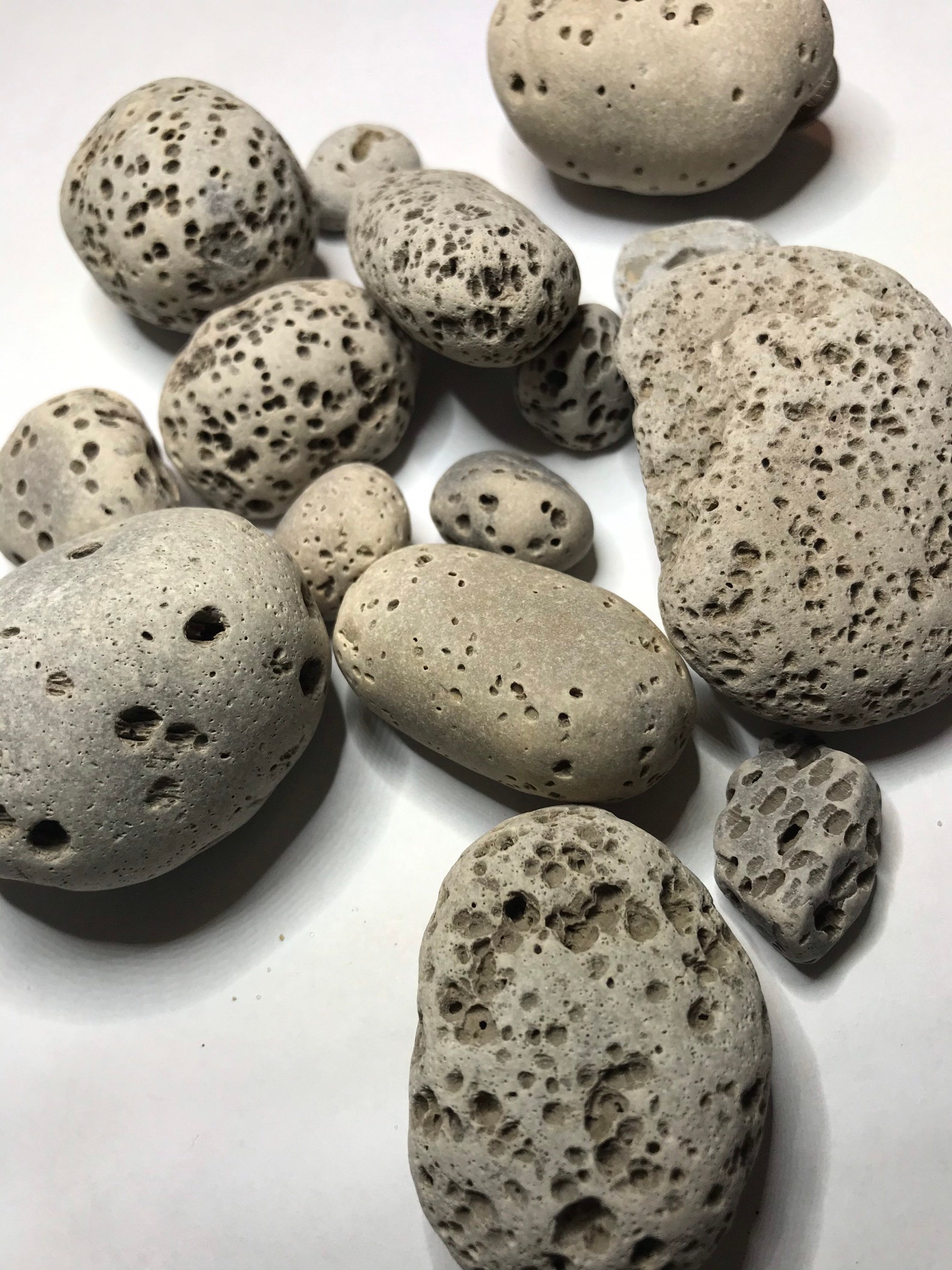 Vesicular Rocks (1lb), Rocks With Holes, Lake Michigan Rocks - Etsy