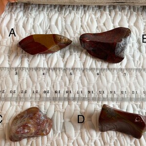 Polished Chestnut Jasper Tumbles, Colorful Rocks - Etsy