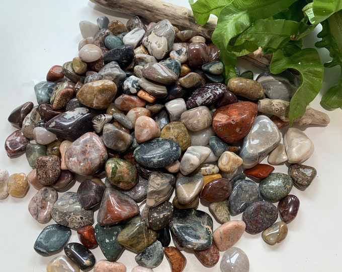 Polished Great Lakes Stones (1lb), Assorted Polished Rocks, Lake ...