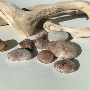 Polished Great Lakes Stones (1lb), Assorted Polished Rocks, Lake ...