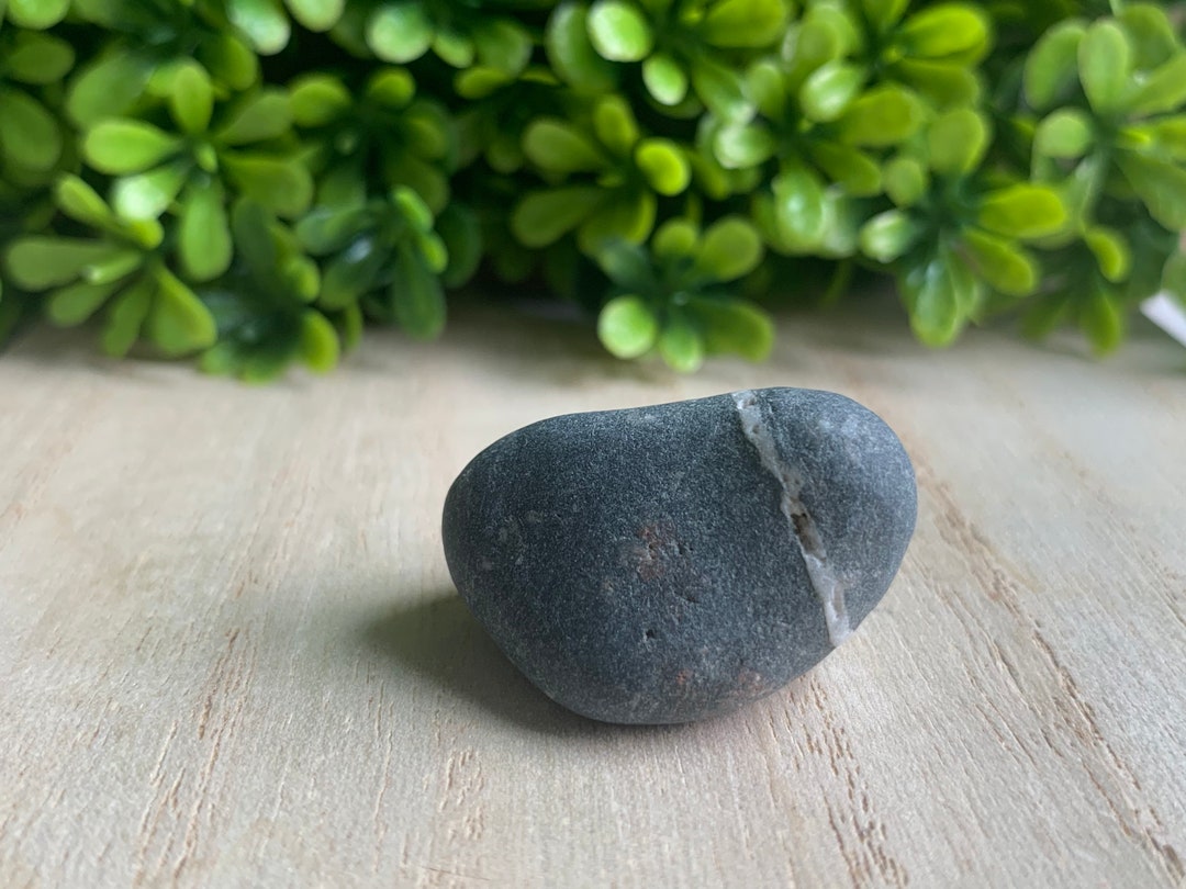 Black With White Ring Wishing Stone, Lake Michigan Wishing Stone ...