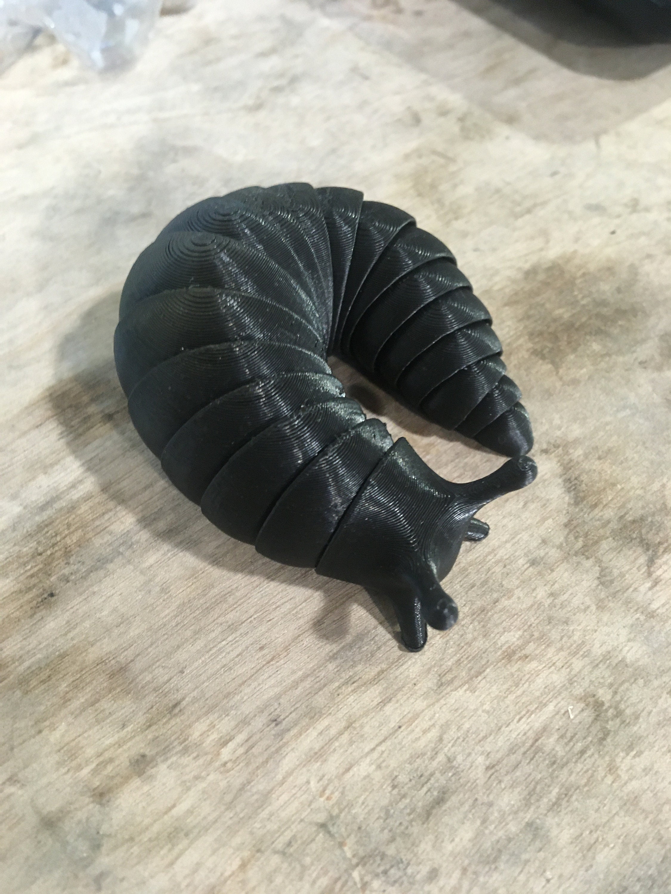 Eco Friendly Slug Fidget Toy | Etsy