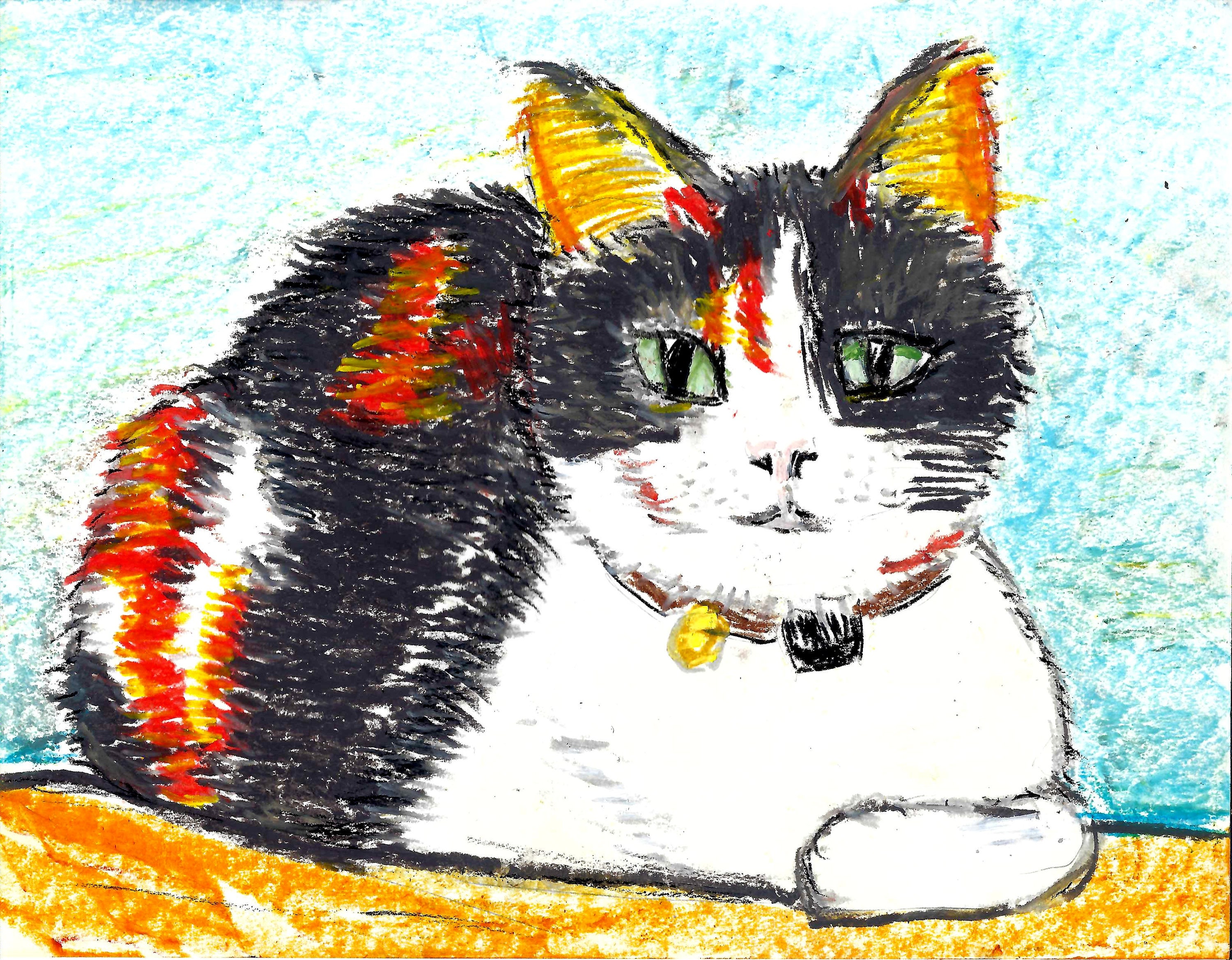 Original Art, Oil Pastels "cat Portrait" - Etsy