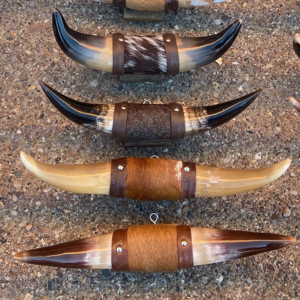 Small Horns - Etsy