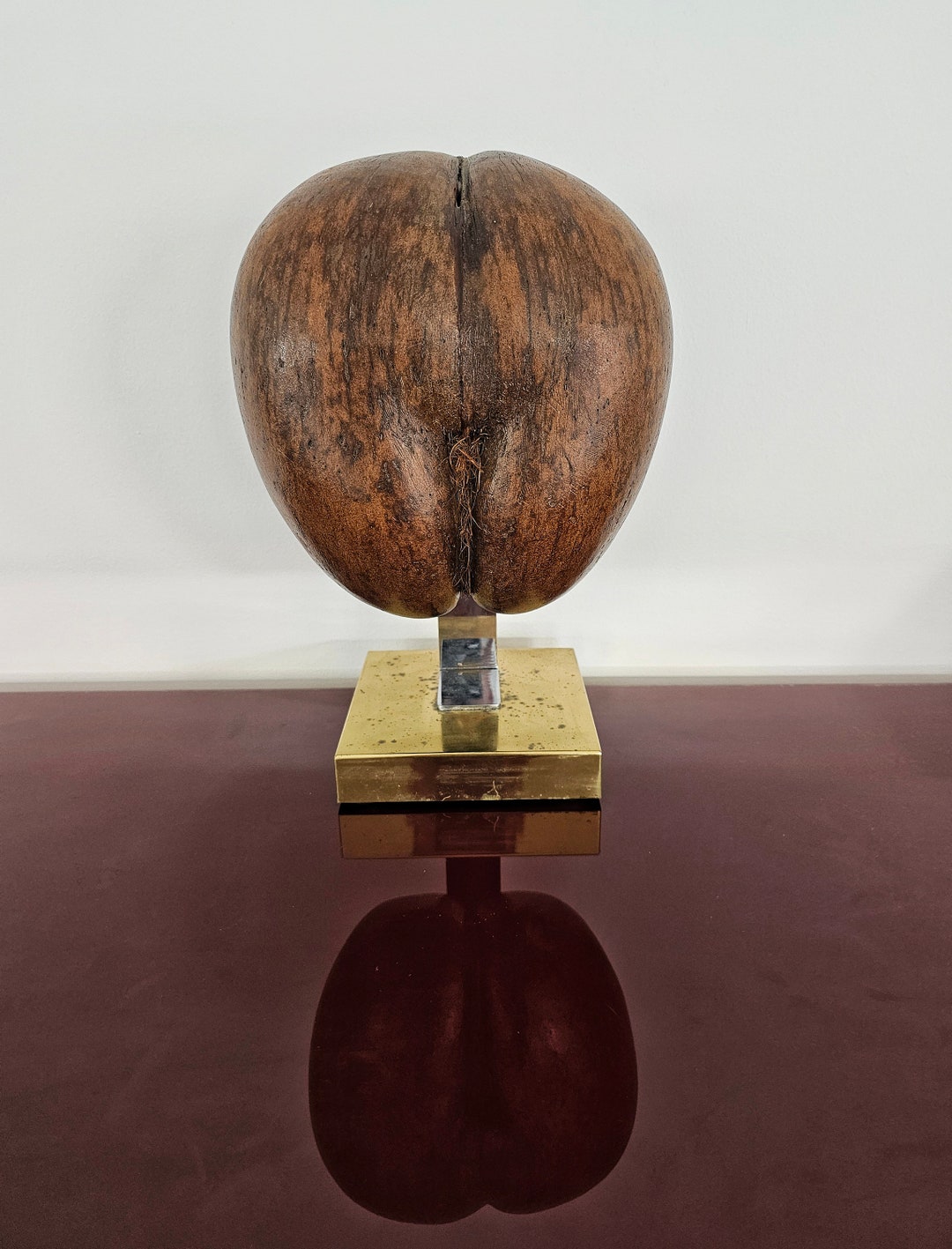 Coco De Mer or Double Coconut Sculpture on Brass Stand // Made in ...