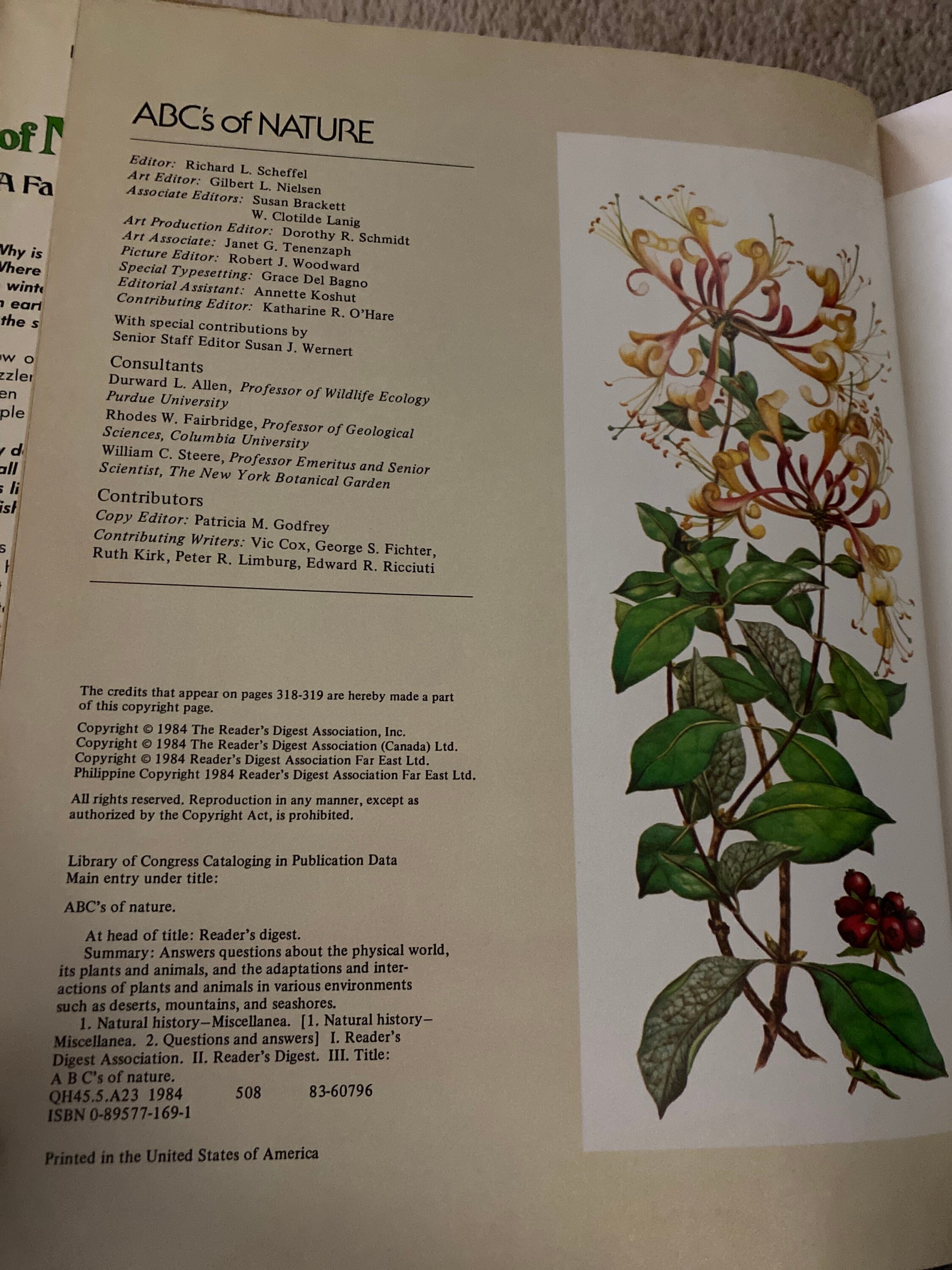 Abc’s of Nature - A Family Answer Book - Etsy