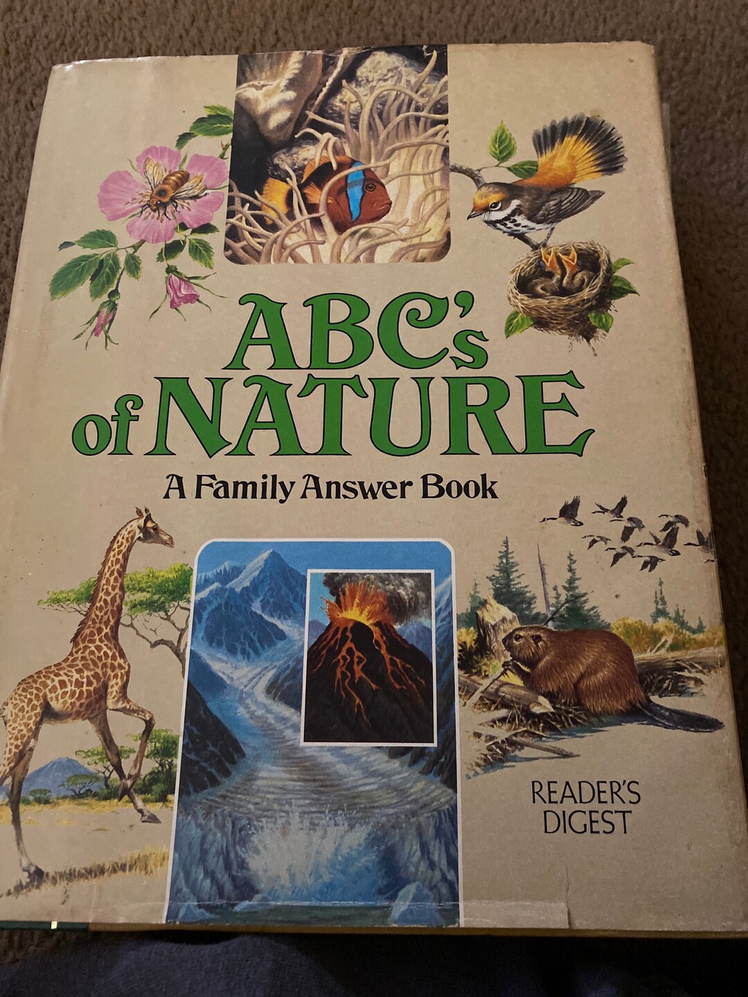 Abc’s of Nature - A Family Answer Book - Etsy