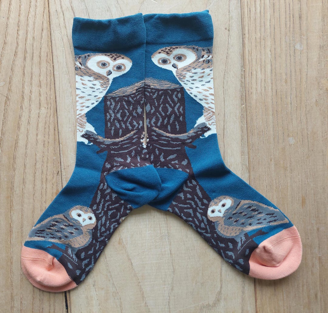 Owl Socks: Barn Owl & Owlets, Cotton Blend (EU 36-41) - Etsy