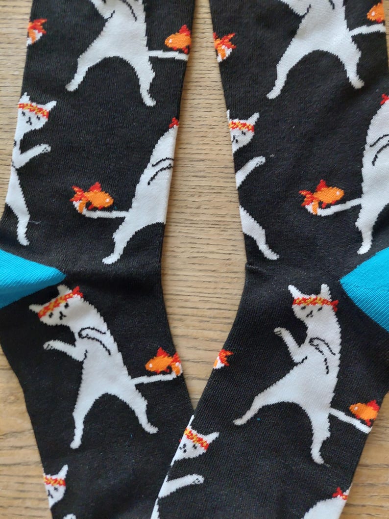 Calcetines de gato Kung Fu - Bandana novedosa para gatos - Etsy México