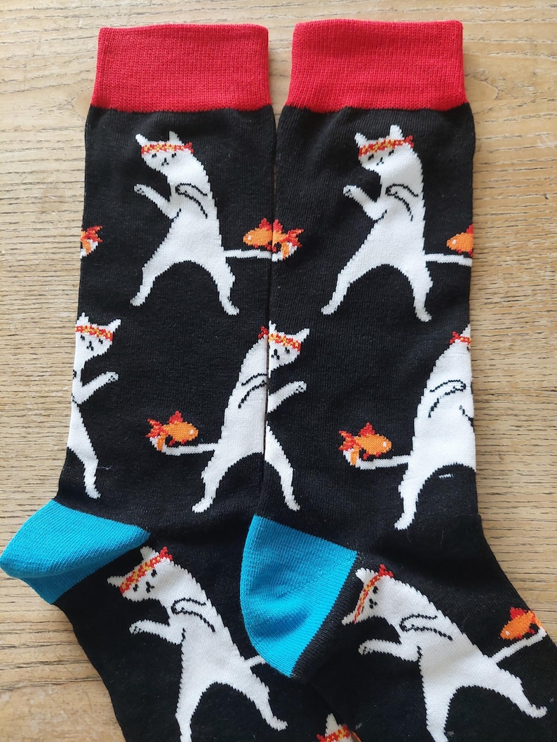 Calcetines de gato Kung Fu - Bandana novedosa para gatos - Etsy México