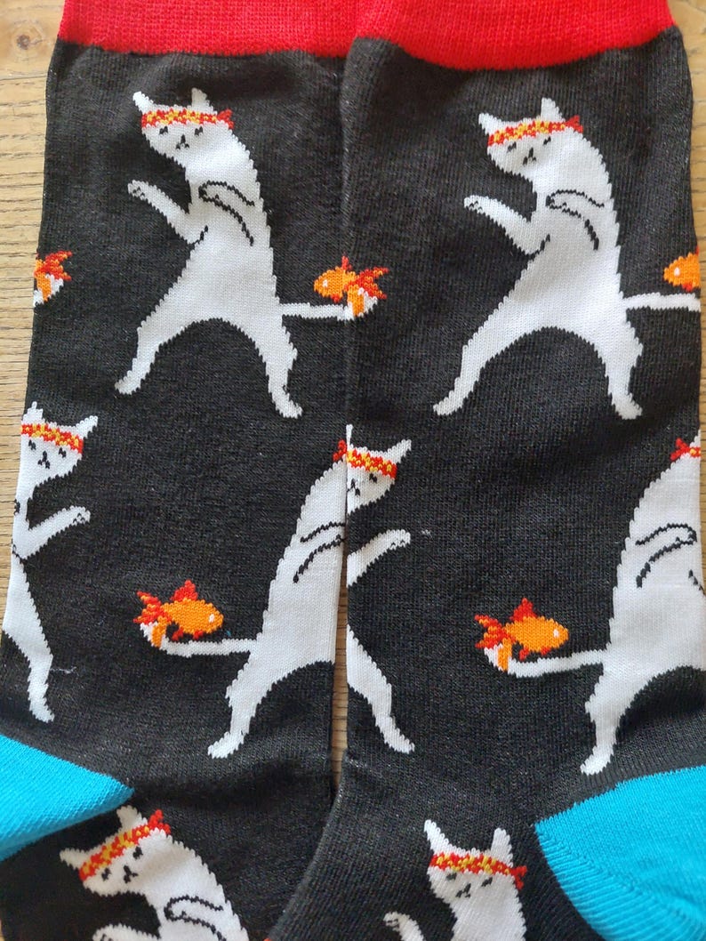 Calcetines de gato Kung Fu - Bandana novedosa para gatos - Etsy México