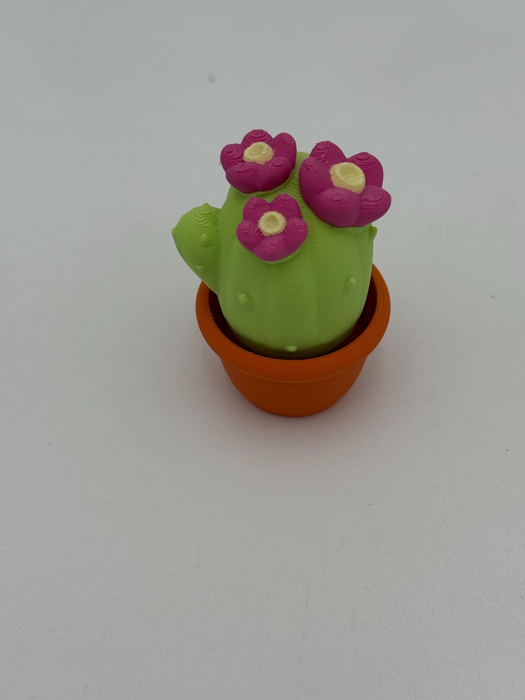 Succulent Cactus Clicker Fidget - Etsy