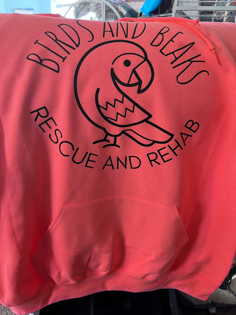 Birds and Beaks Logo Hoodie - Etsy