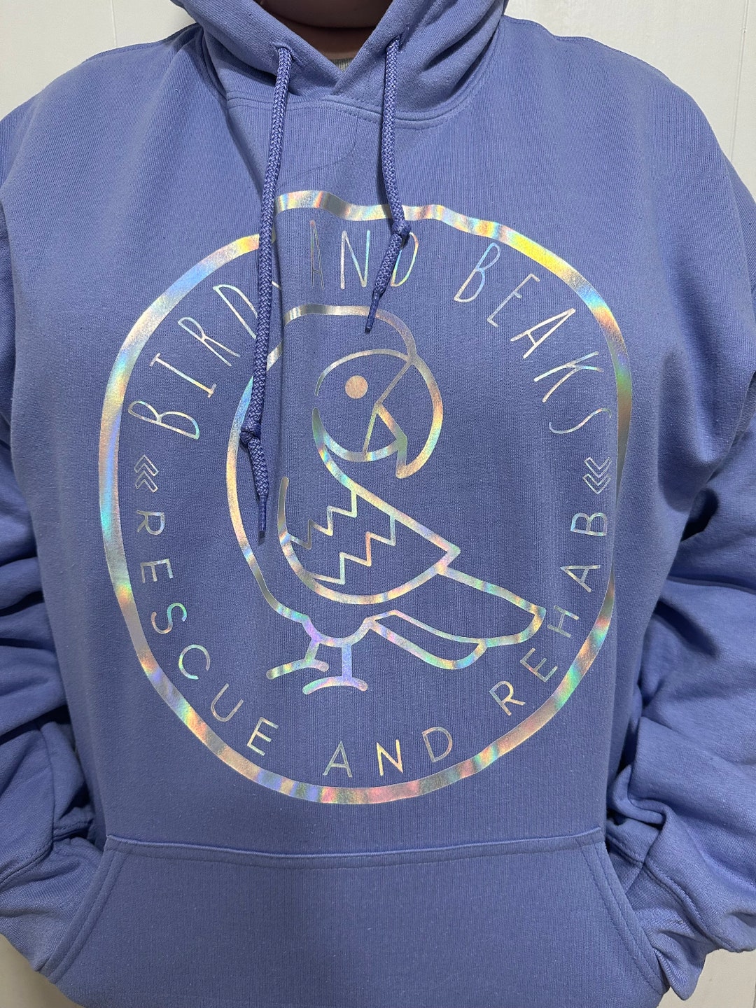 Birds and Beaks Logo Hoodie - Etsy